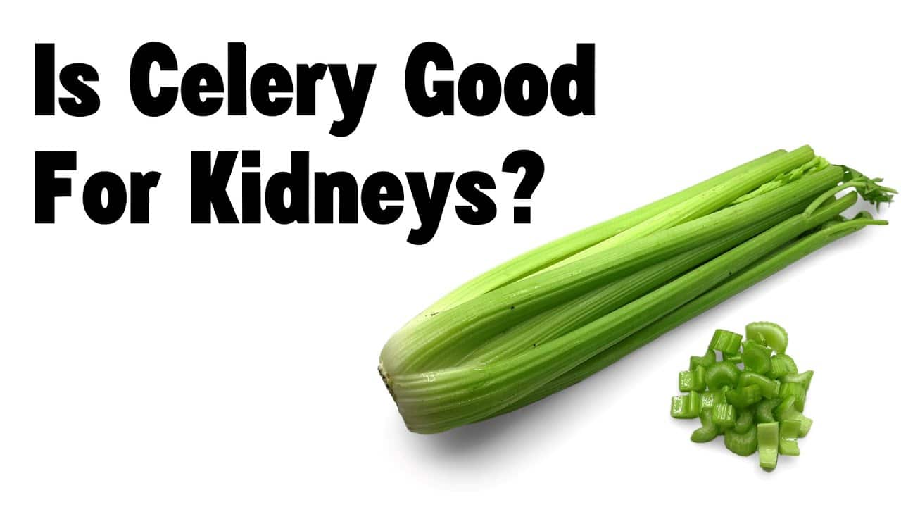 Is celery good for kidneys? | Kidney Foodie