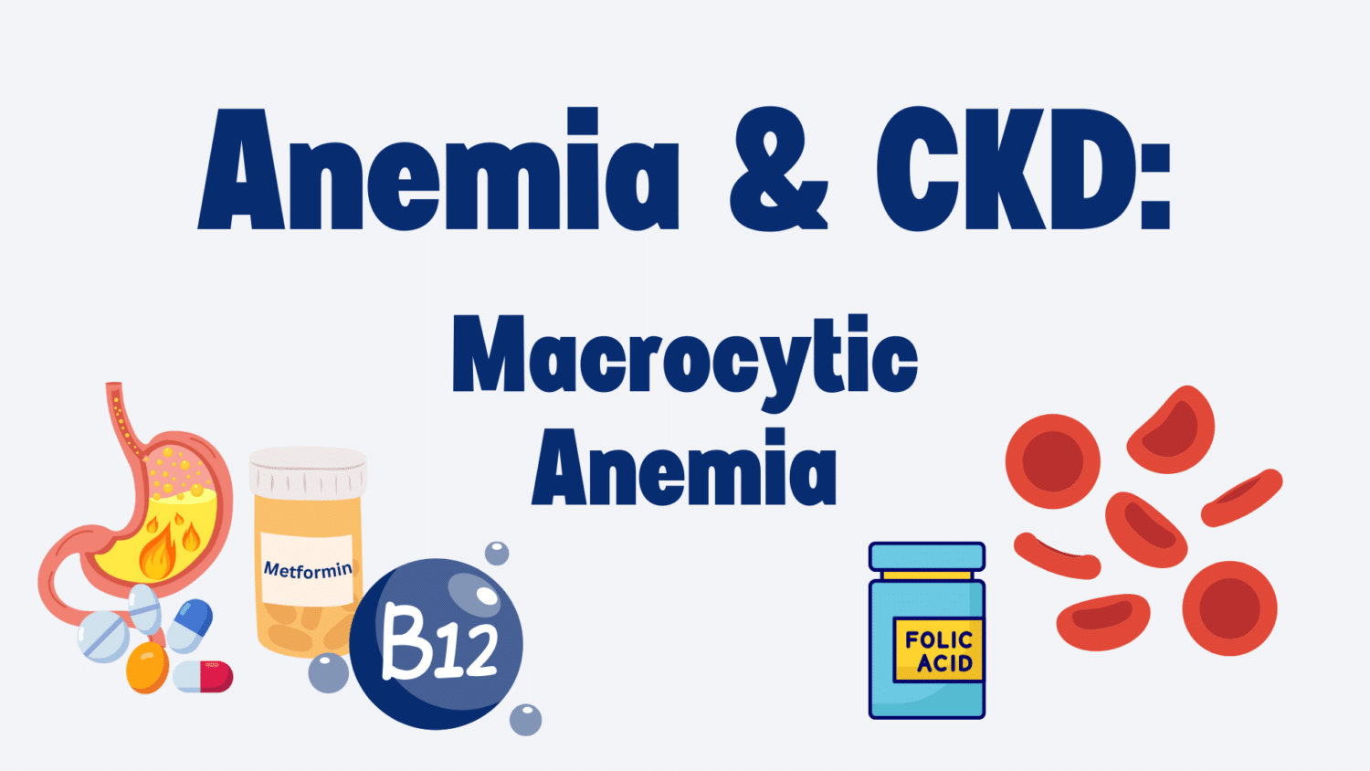 CKD and Anemia – Deciphering your anemia labs | Kidney Foodie