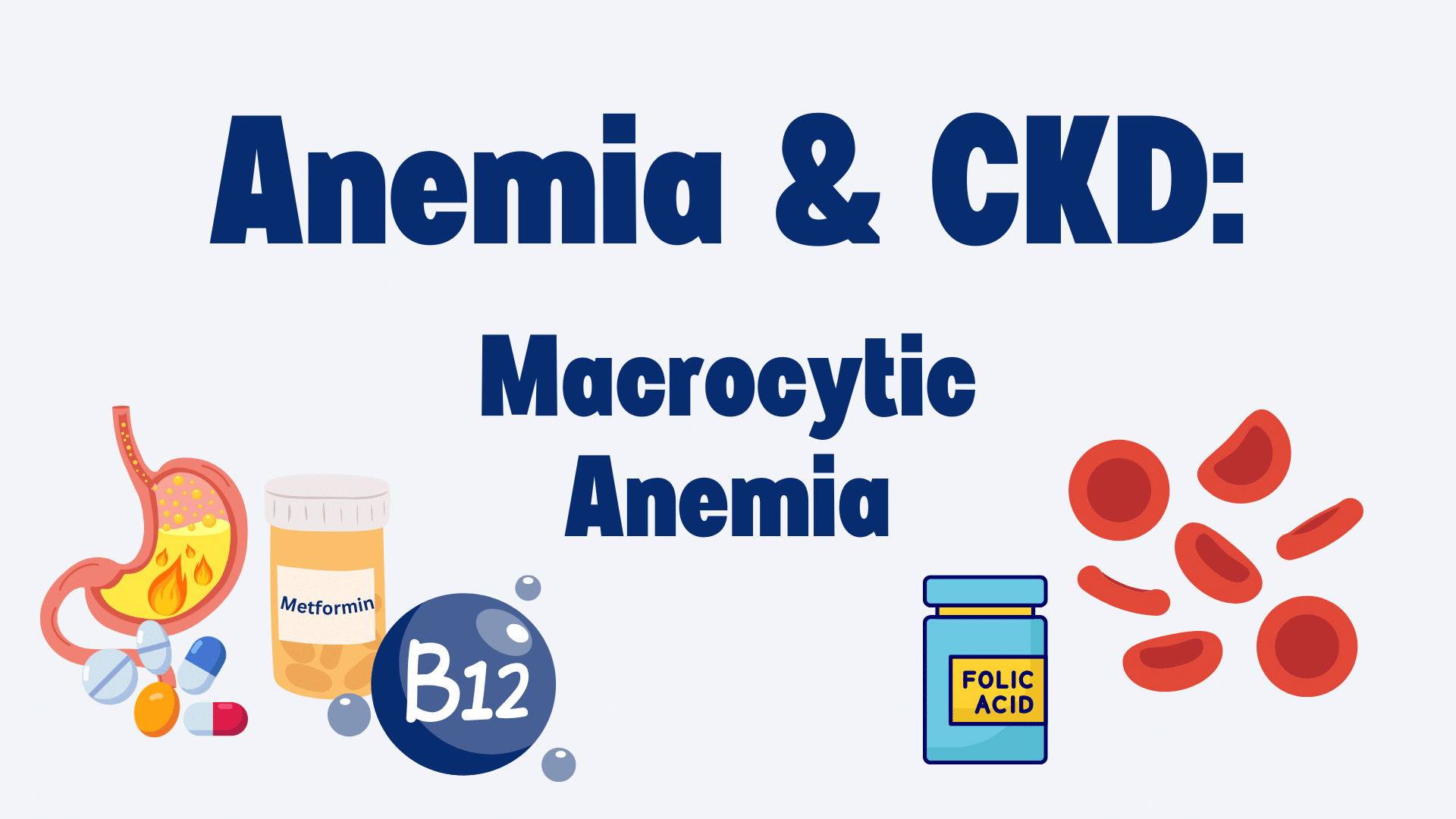 CKD and Anemia – Deciphering your anemia labs | Kidney Foodie