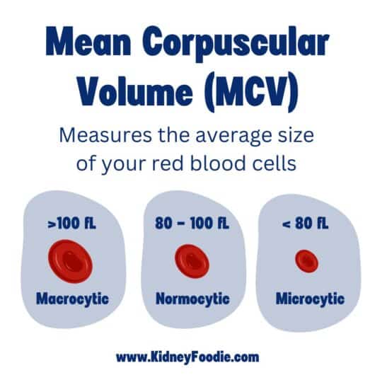 CKD and Anemia – Deciphering your anemia labs | Kidney Foodie