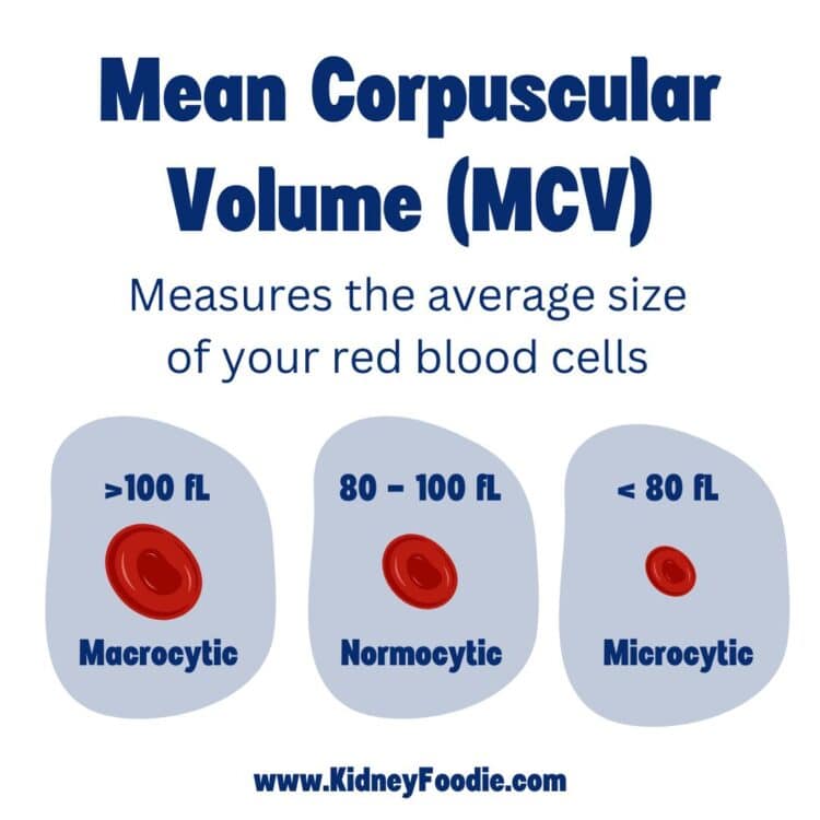 CKD and Anemia – Deciphering your anemia labs | Kidney Foodie